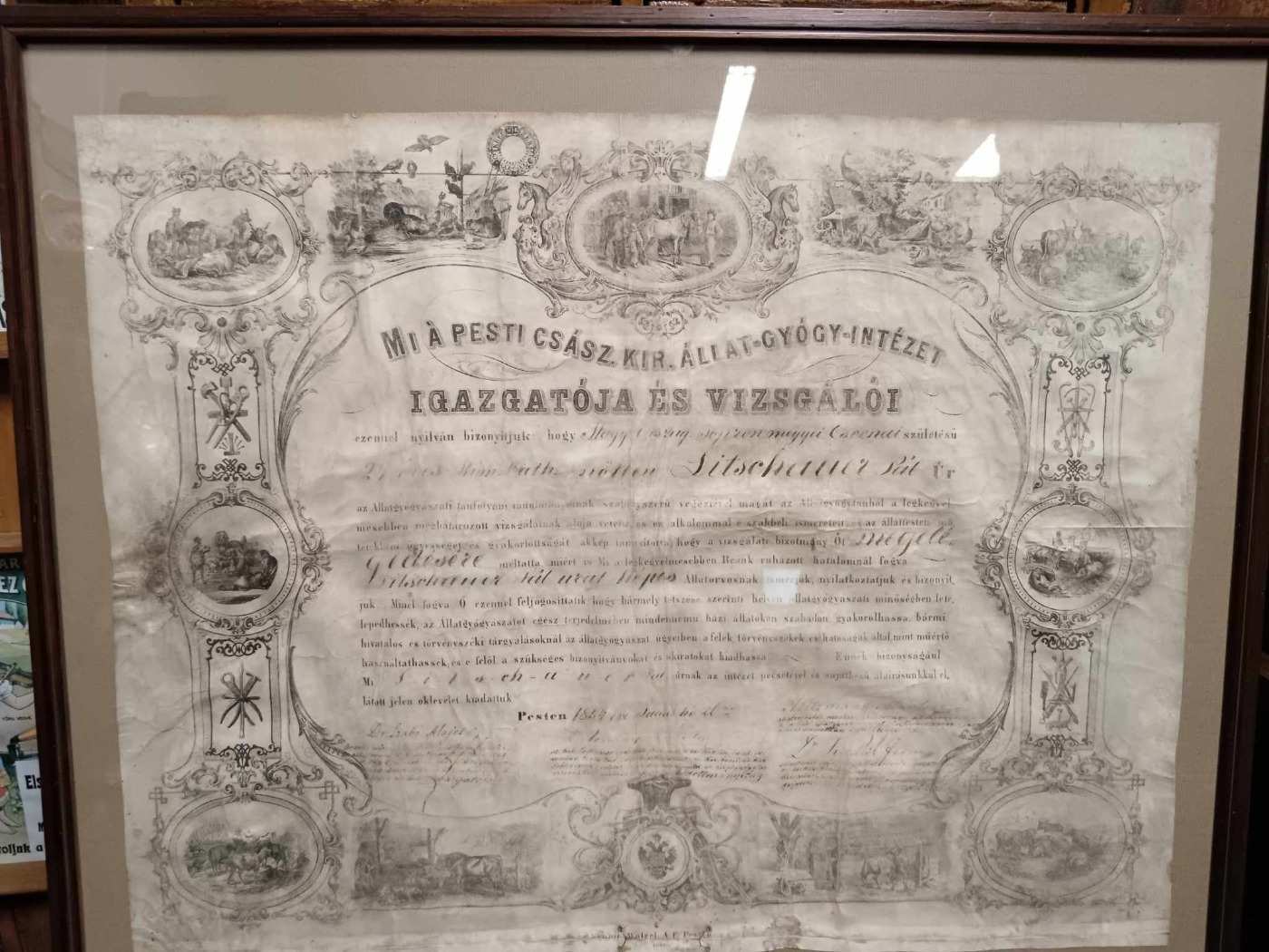 Bizonyítvány 1854-ből, MI Á PESTI CSÁSZ. KIR. ÁLLAT-GYÓGY-INTÉZET által ...