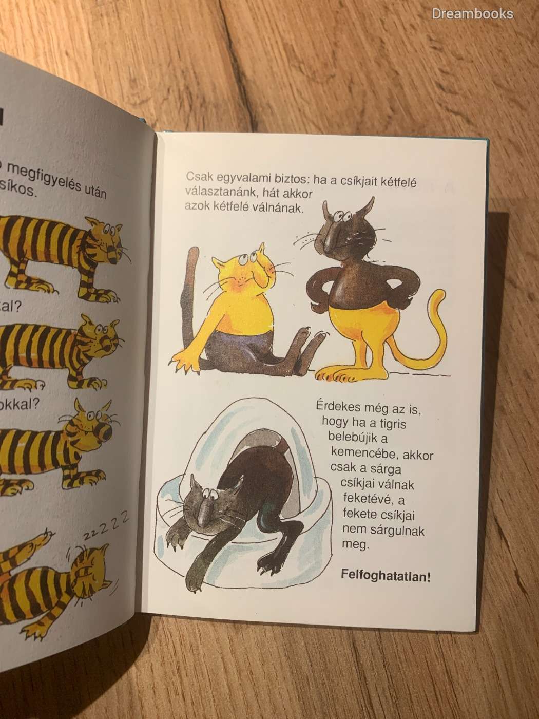 Kaszás György - Elek Lívia: Amit a tigrisekről feltétlenül tudni kell
