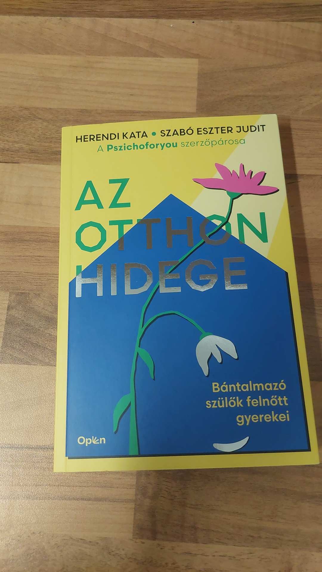 Herendi Kata Szabó Eszter Judit; F. Várkonyi Zsuzsa: Az otthon hidege