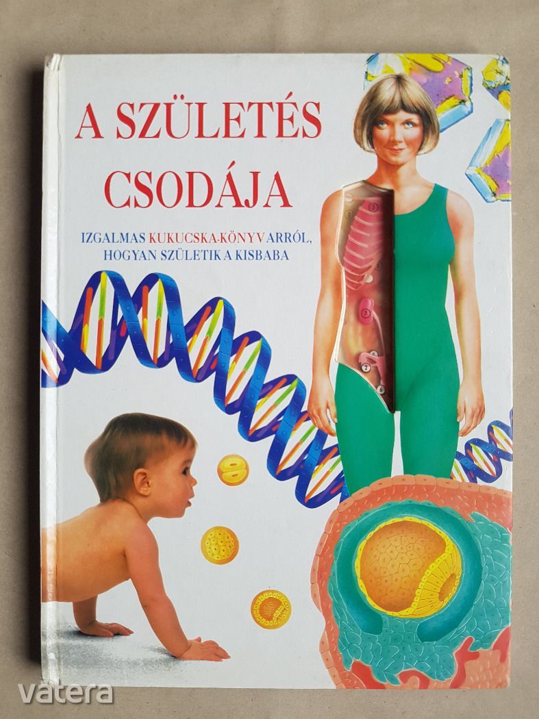 A születés csodája - szülés, anatómia, kukucskakönyv, kisbaba -Jenny ...