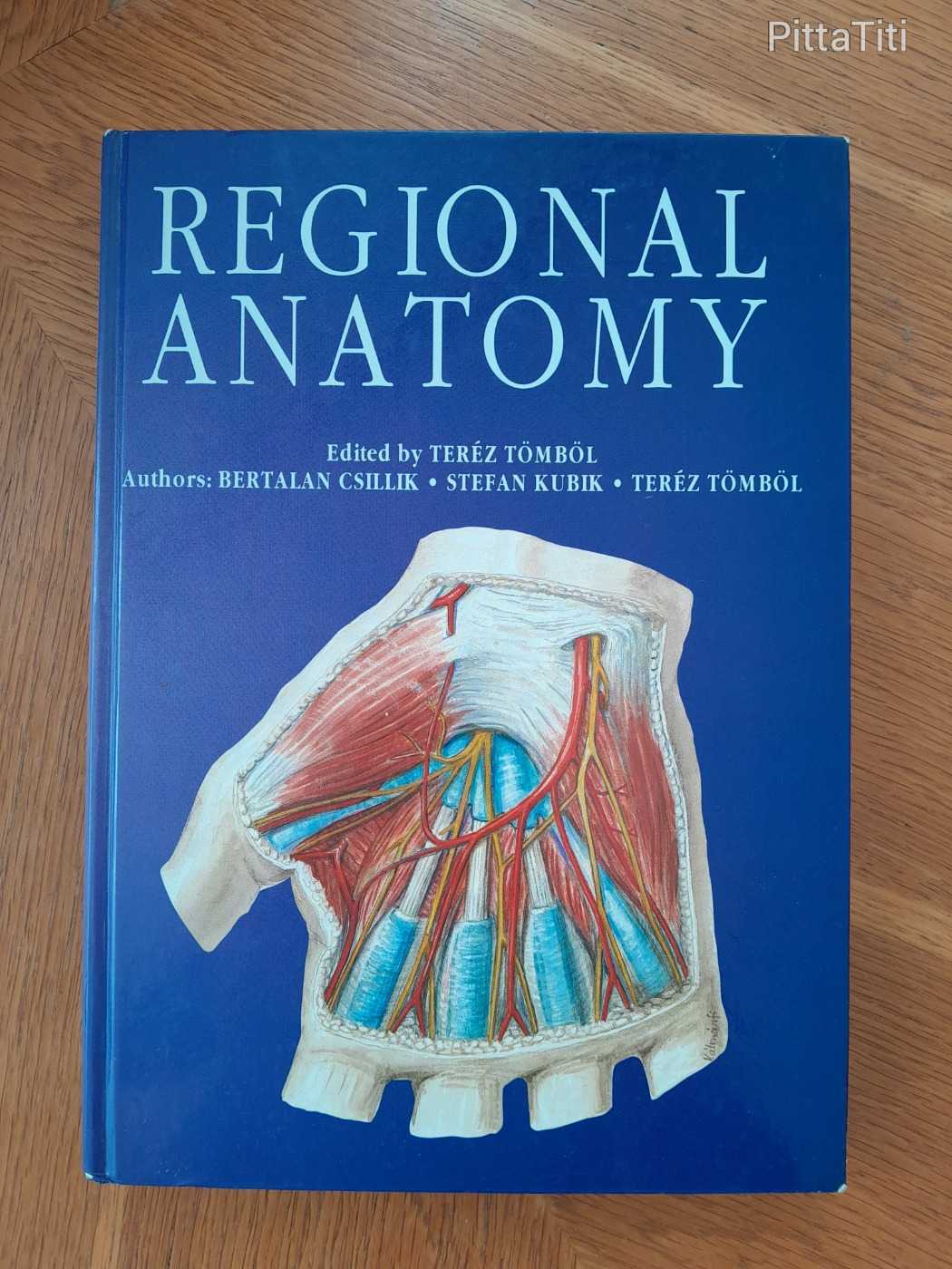 Tömböl Teréz Regional Anatomy / élettan, orvosi, anatómia, anatómiai ...