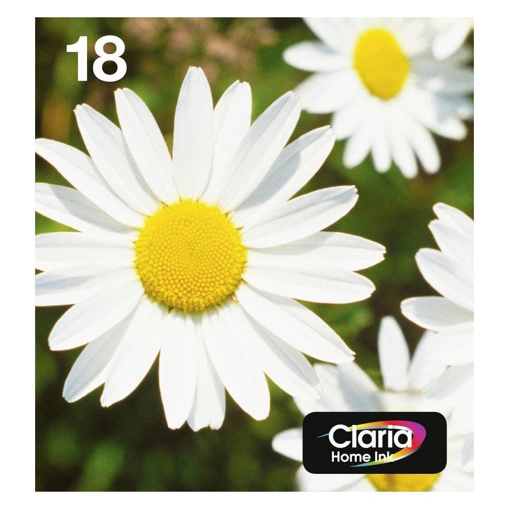 Epson Tinta T1806, 18 Easy Mail Packaging Eredeti Kombinált csomag ...