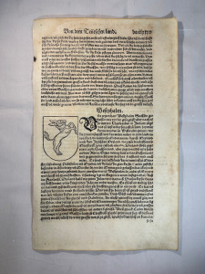 1550 Akasztott ember és ágaskodó ló címeren fametszet, Münster ...