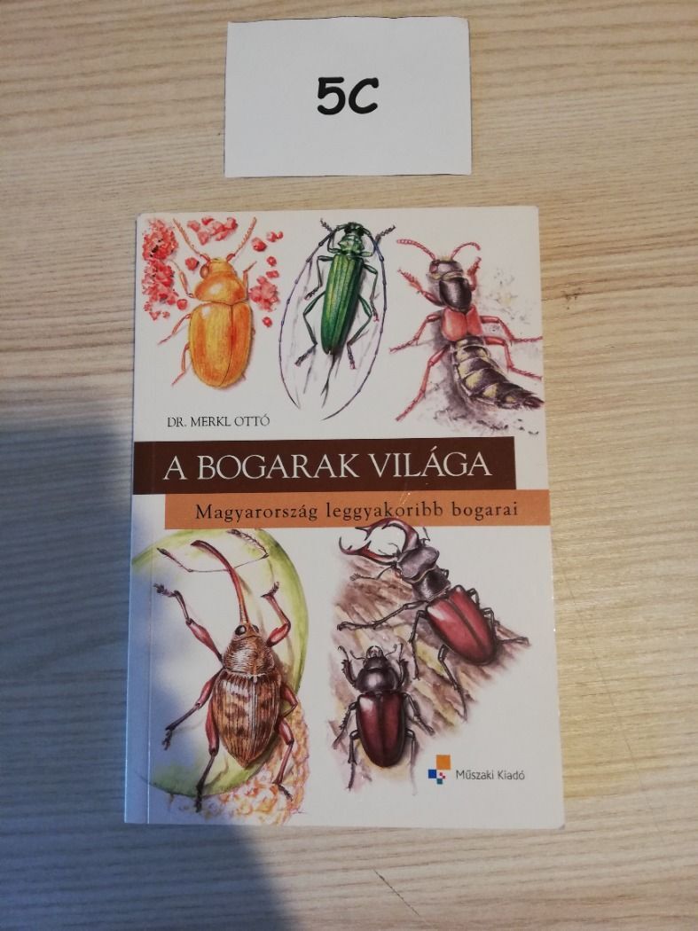 5C Merkl Ottó - A Bogarak világa / Magyarország leggyakoribb bogarai